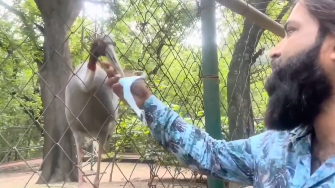 Viral Video: Arif Visits His Beloved Rescue Sarus Held Captive at ...