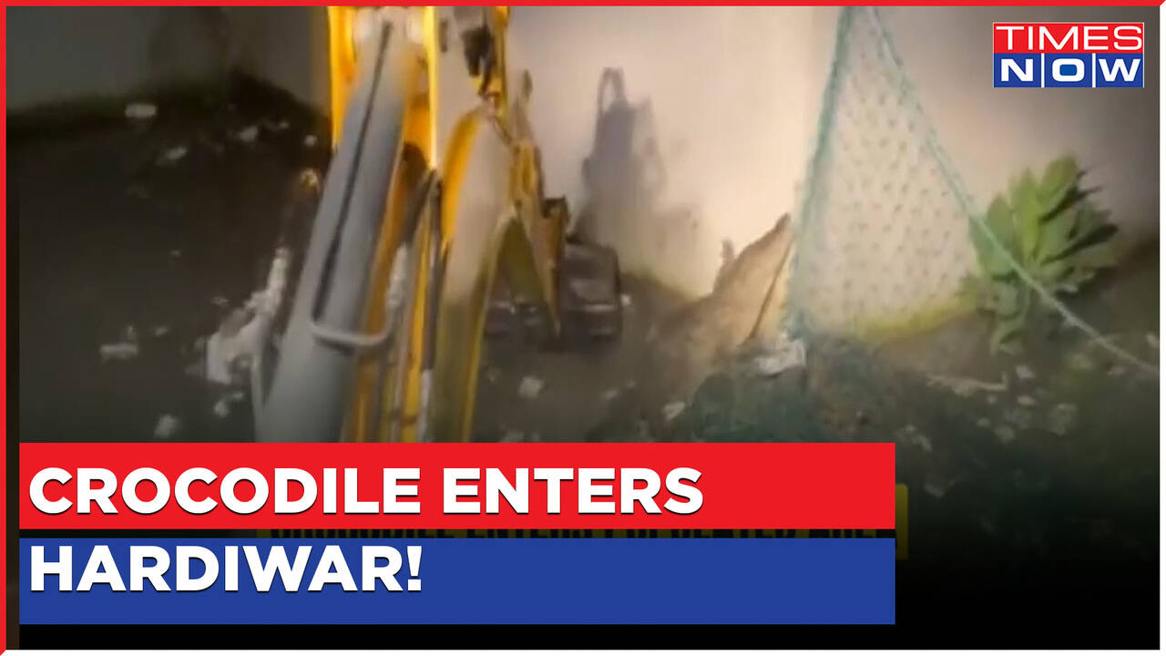 Breaking News | Crocodile Enters Populated Area In Laksar, Haridwar ...