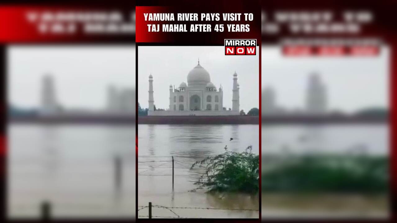 Yamuna Flood Waters Reach Taj Mahal for First Time in 45 Years | Viral Video | North India ...