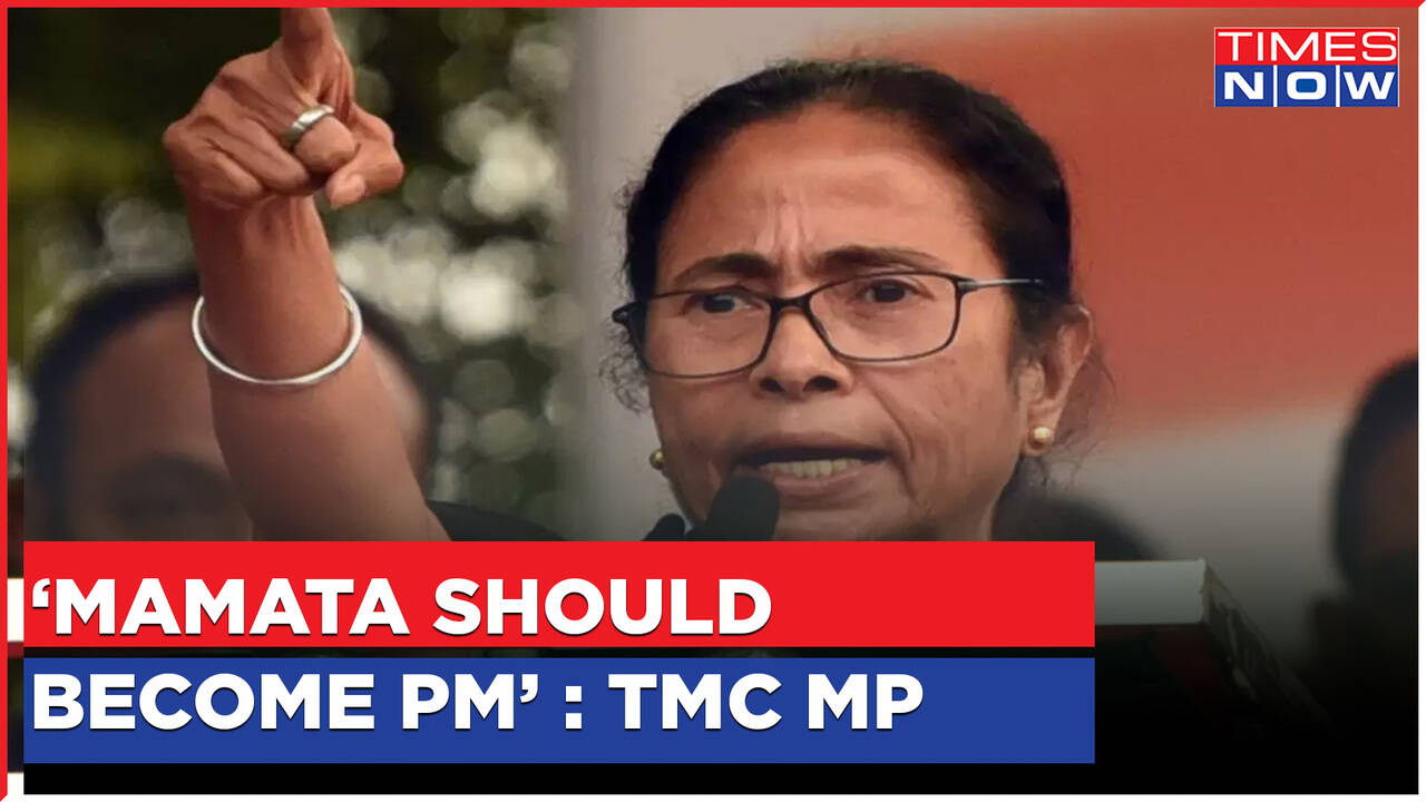 TMC MP Says 'Mamata Should Become PM' As 'INDIA' Alliance VS NDA Erupts Ahead Of 2024 Elections ...