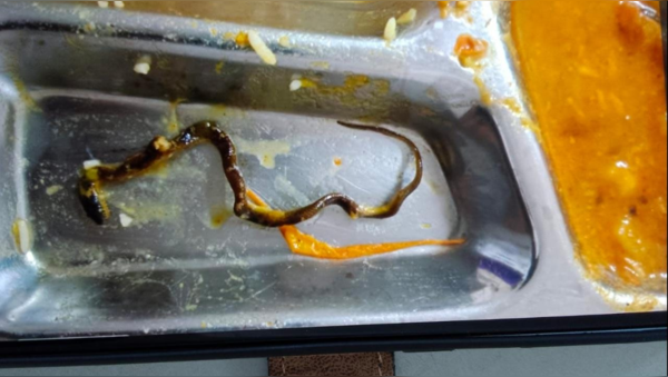 Hyderabad: Dead Snake Found In Dal Served With Lunch To Over 1000 ECIL ...