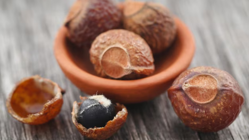Reetha For Hair: Know The Amazing Benefits Of Soap Nuts For Your ...