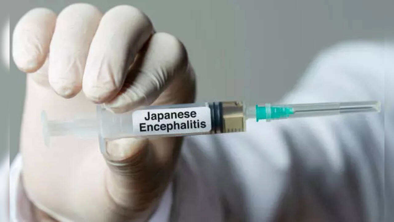 Rise In Japanese Encephalitis Cases Raise Concern; Know All About The ...