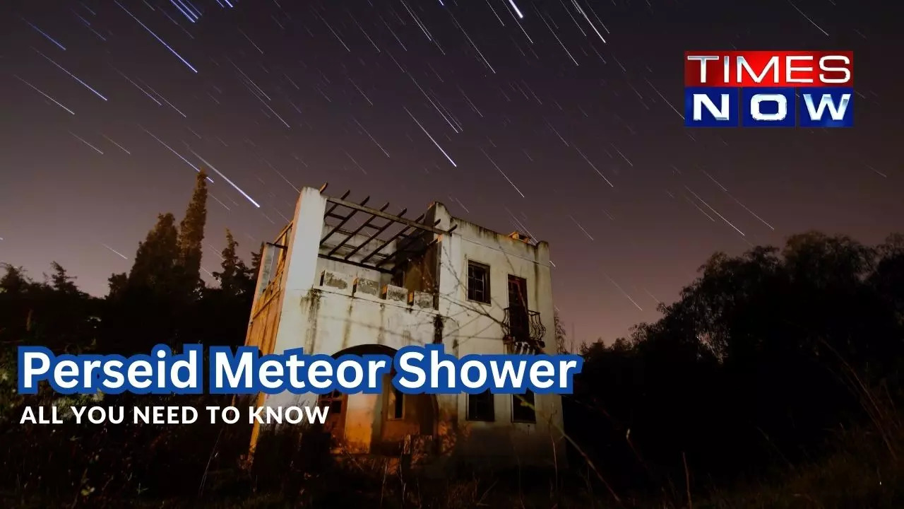 Perseid Meteor Shower 2023: What, When, Where, And How to Watch ...