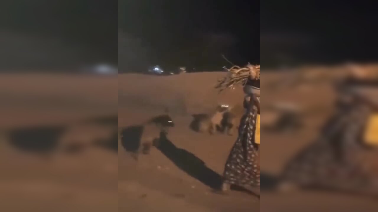 Viral Video of Fearless Woman Walking Past Howling Hyenas Has 20 Lakh ...