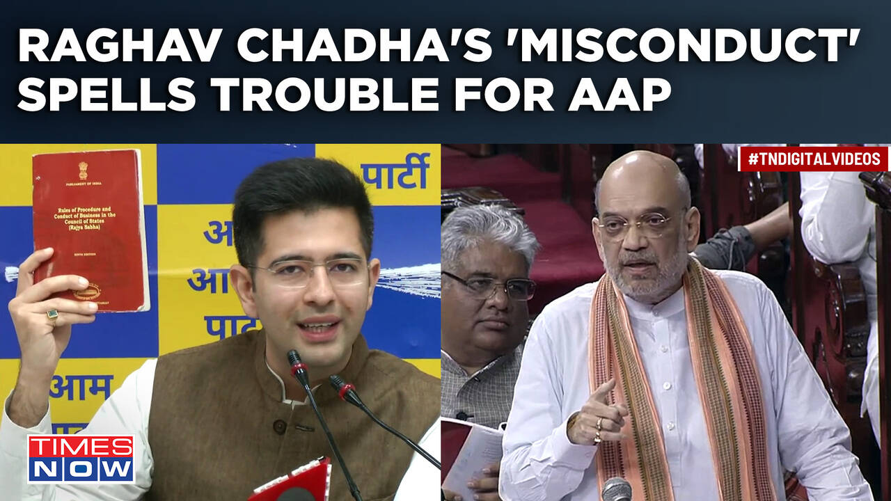 Raghav Chadha, Accused Of Breaching Privilege, Suspended From Rajya ...