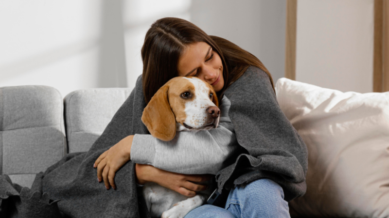 The Healing Power of Animals and Their Impact on Mental Health | Pets ...