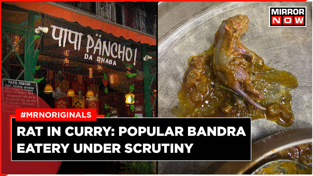 Rat In Curry: Popular Bandra Eatery Under Scrutiny | Society News ...
