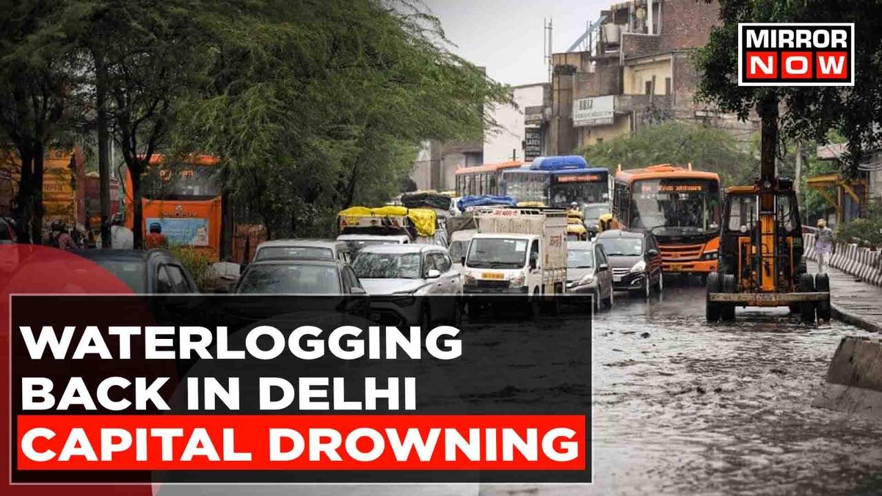 Delhi-NCR Rains | Relief from Heat, Waterlogging Woes Persist, IMD Predicts More Rain | Top News ...