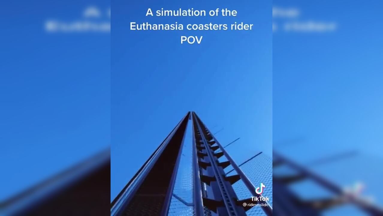 This Lifelike Simulation Of Euthanasia Rollercoaster Will Make Your ...