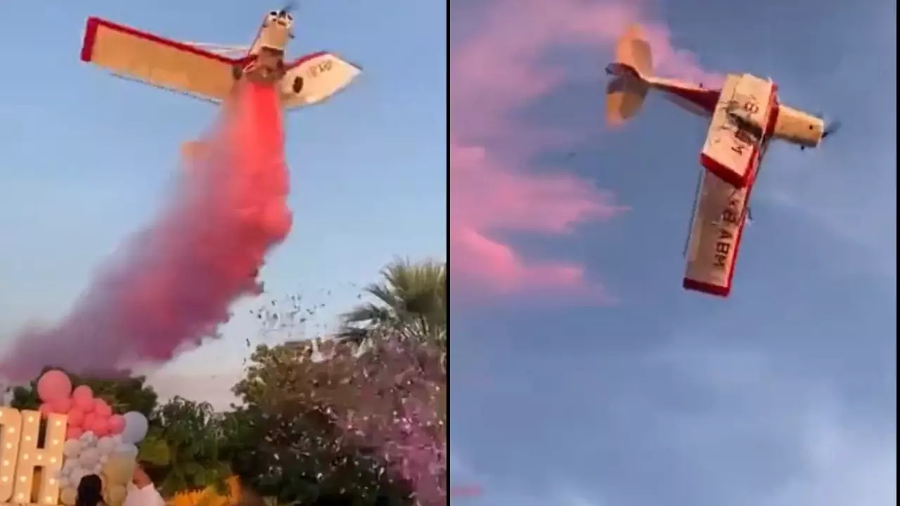 Viral Video Captures Gender Reveal Plane Crash That Killed Pilot In ...