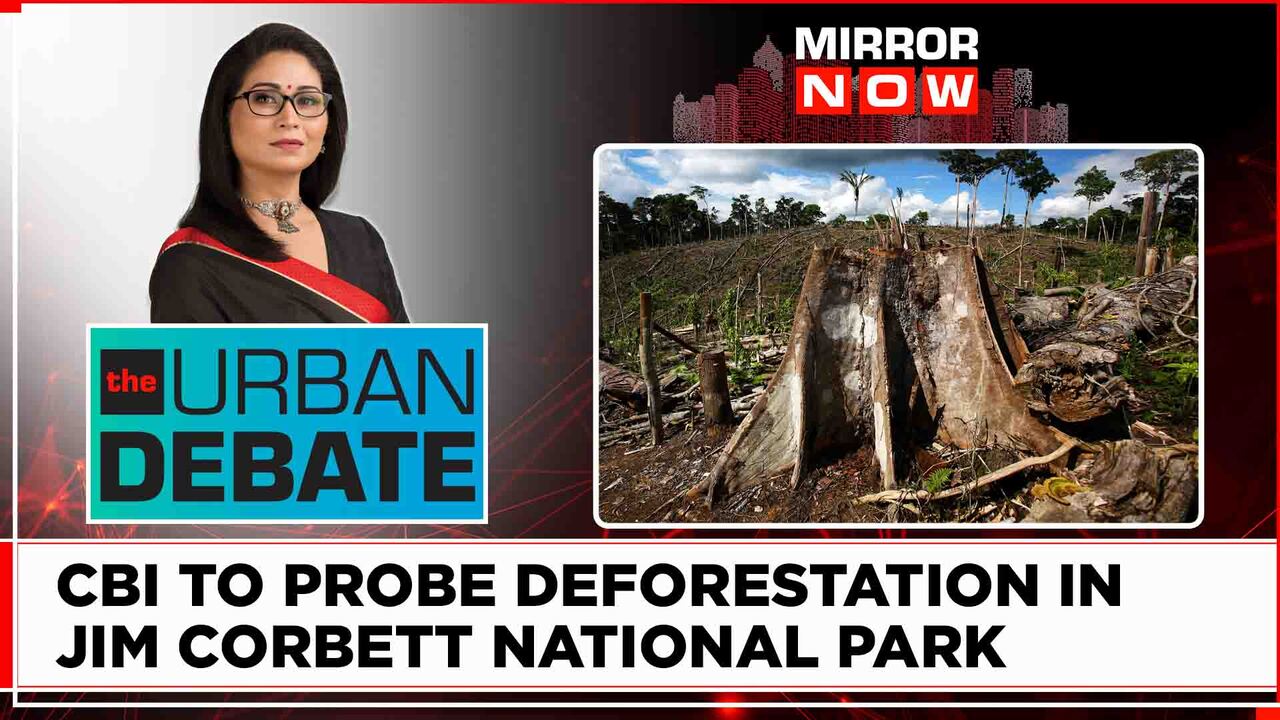 Who Is Responsible Behind Increasing Deforestation In Jim Corbett National Park? | Urban Debate ...