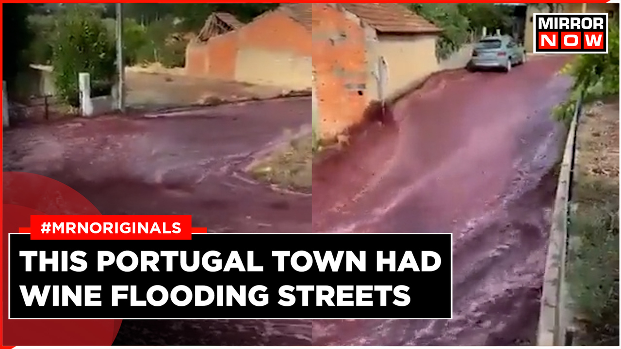 This Portugal Town Had Wine Flooding Streets | Times Now