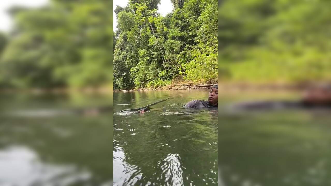 Viral Video: Woman Narrowly Dodges Multiple Snake Bites While Swimming ...