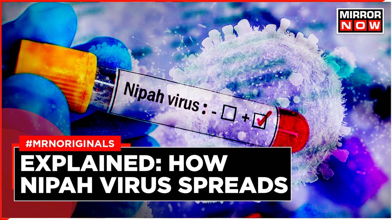 Nipah Virus Has Kozhikode On High Alert; Cause, Symptoms and Treatment Explained | Times Now