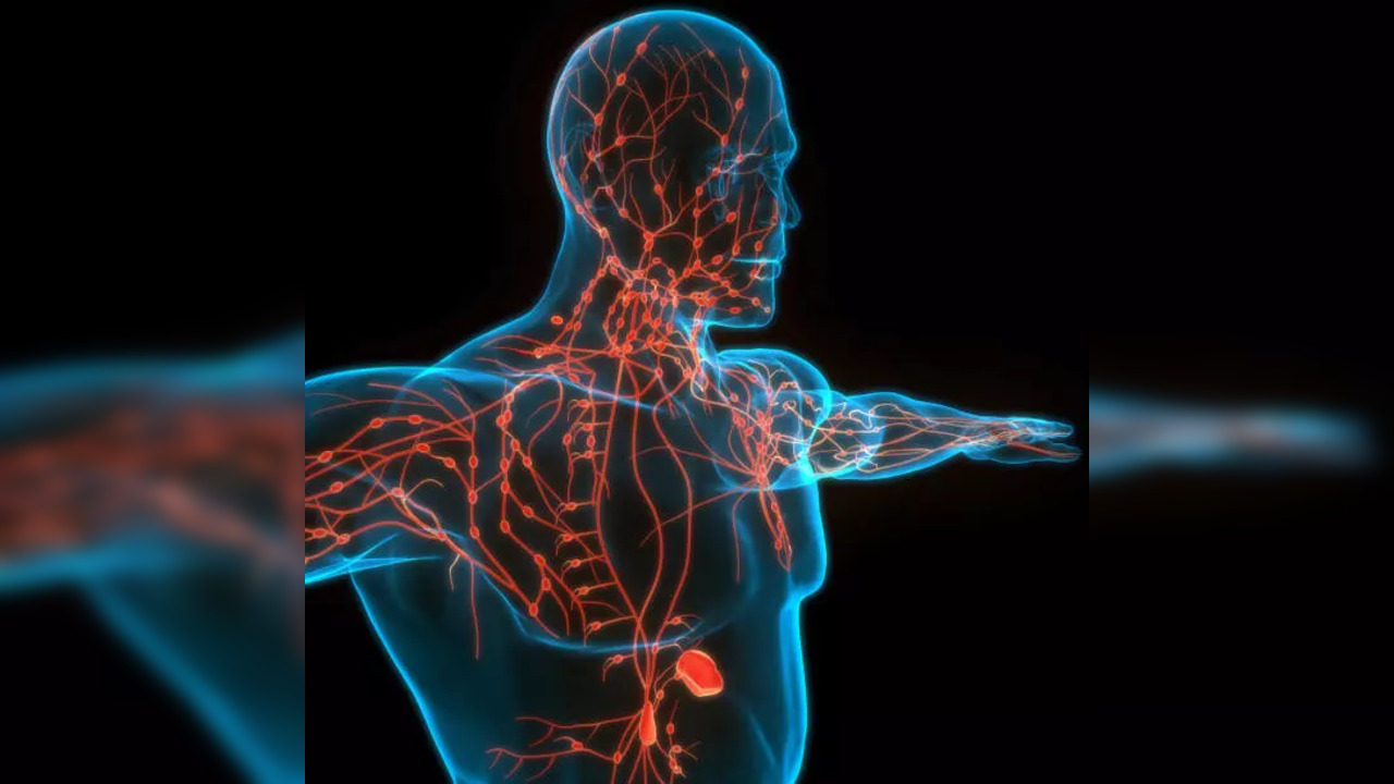 World Lymphoma Awareness Day: Know All About This Rare, But Deadly ...