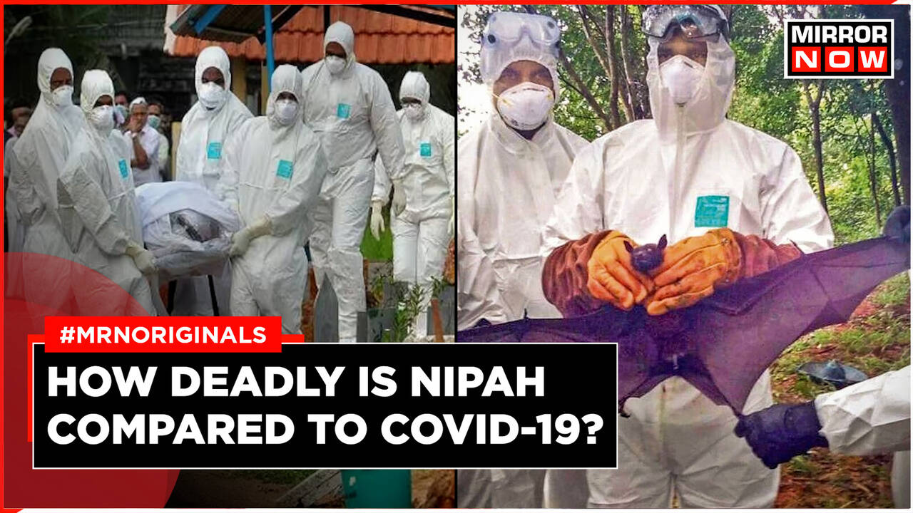 “Extremely High”: ICMR Raises Alarm on Nipah Virus Mortality Rate ...