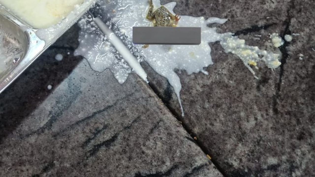KIIT Bhubneshwar's Student Finds Dead Rat In Hostel's Food, College ...