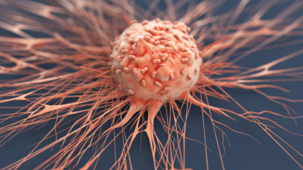 Cancer Cure! Reducing Stress On T Cells Improves Their Ability To Fight ...