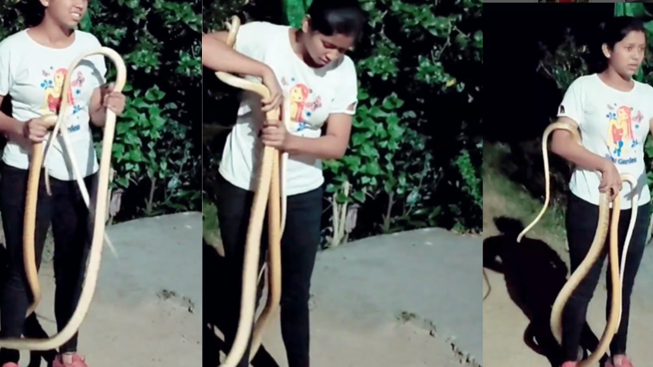 Woman's Incredible Bare-Handed Snake Catch Goes Viral | Times Now