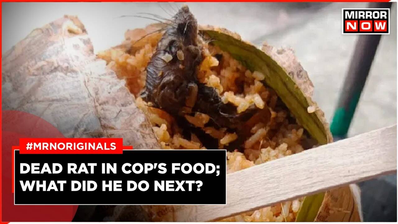 Policeman Finds Dead Rat In Meal Provided Amid Bengaluru Bandh Over ...