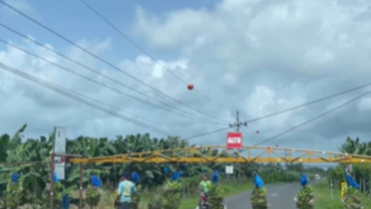This Unique Way Of Getting Bananas Transported In US Is Going Viral ...