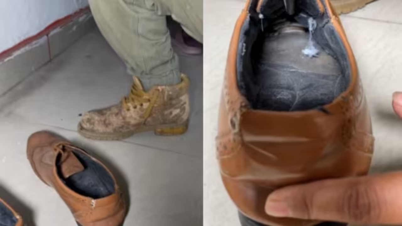 Man Finds Tiny Snake Inside His Shoe, Calls Rescuer. Watch What Happens ...