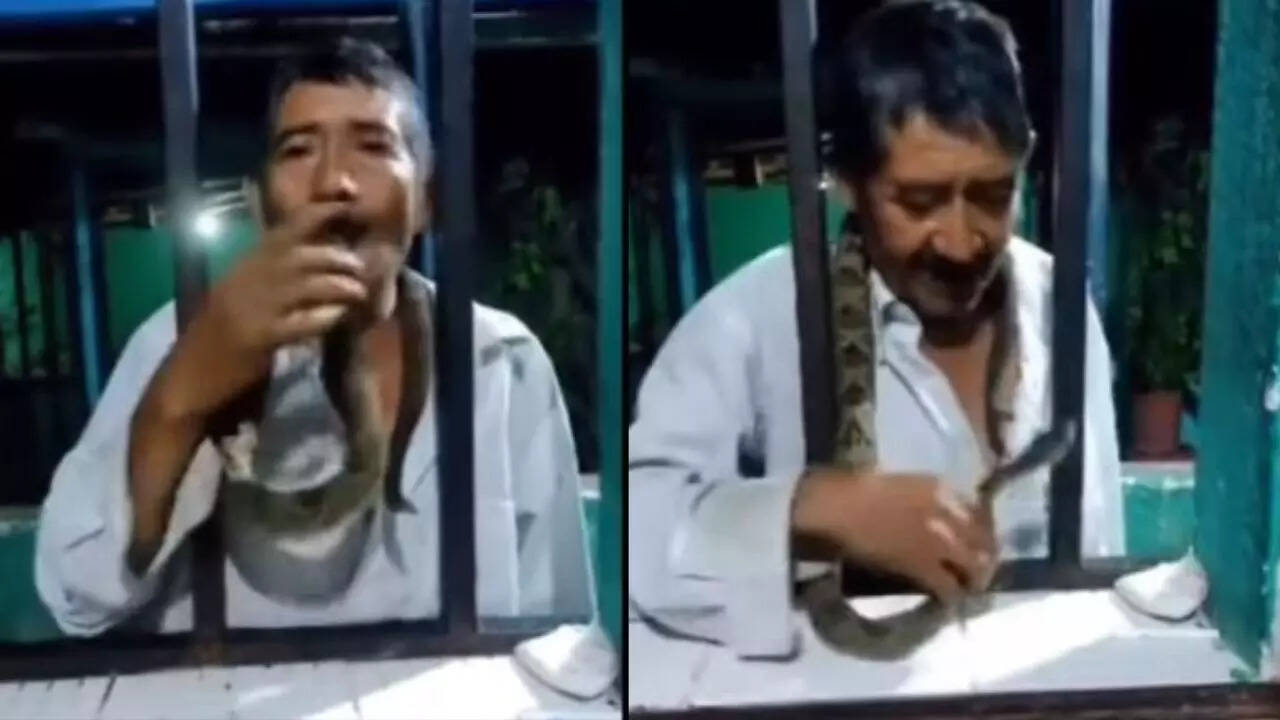 Man Puts Snake's Head Into His Mouth In Spine-Chilling Viral Video ...