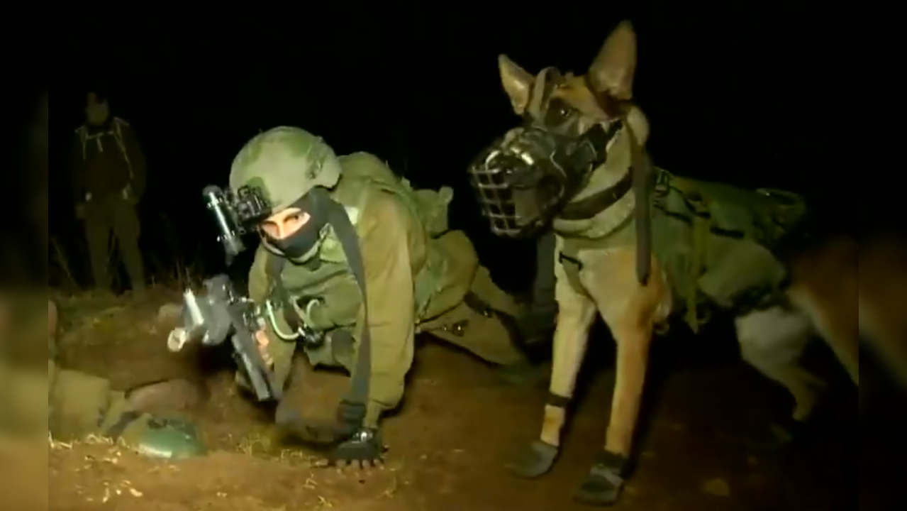 Video: "You Are Safe, We're IDF" Israel's Sniffer Dog Squad Unit ...