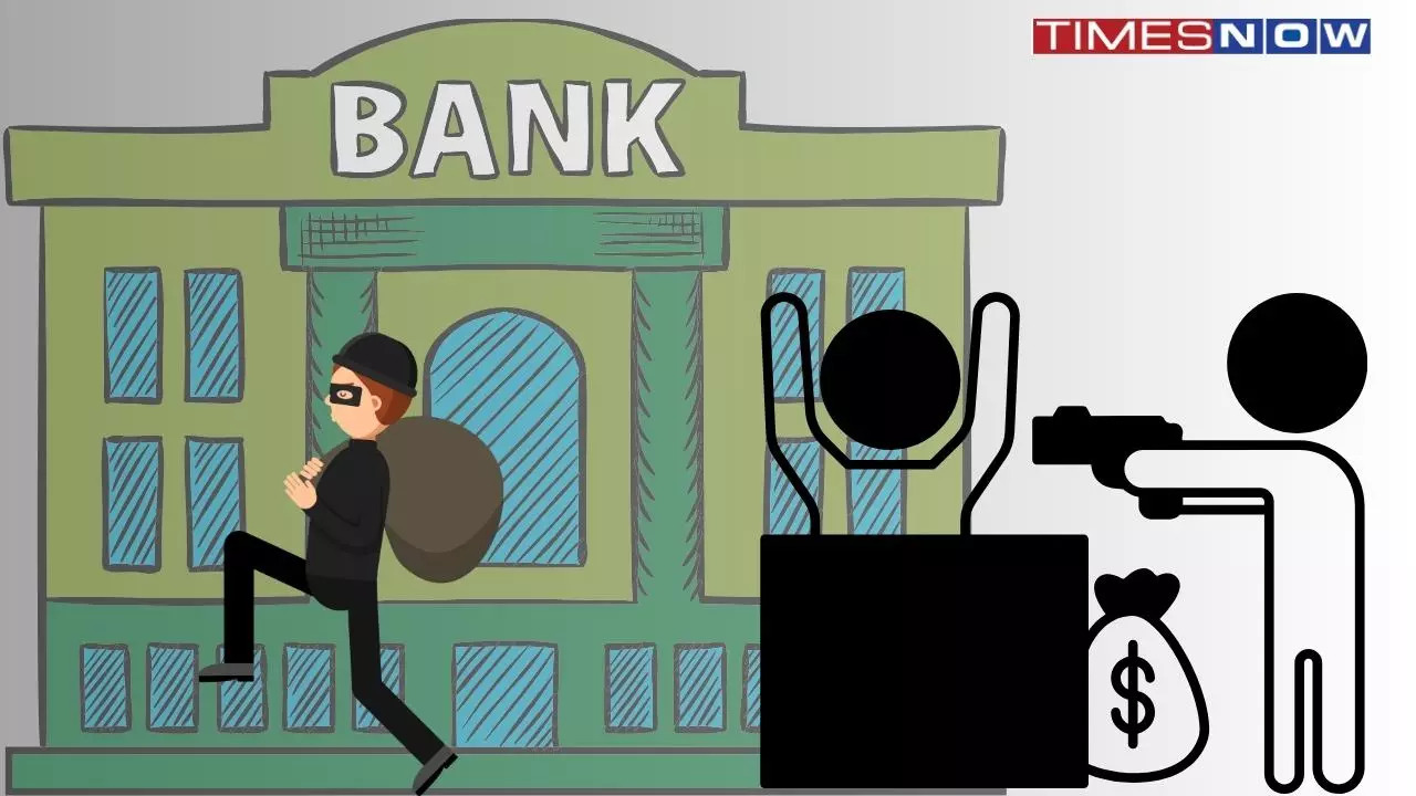 Doctor and Mechanic Looted Bank To Repay Loans In Kishangarh | Times Now