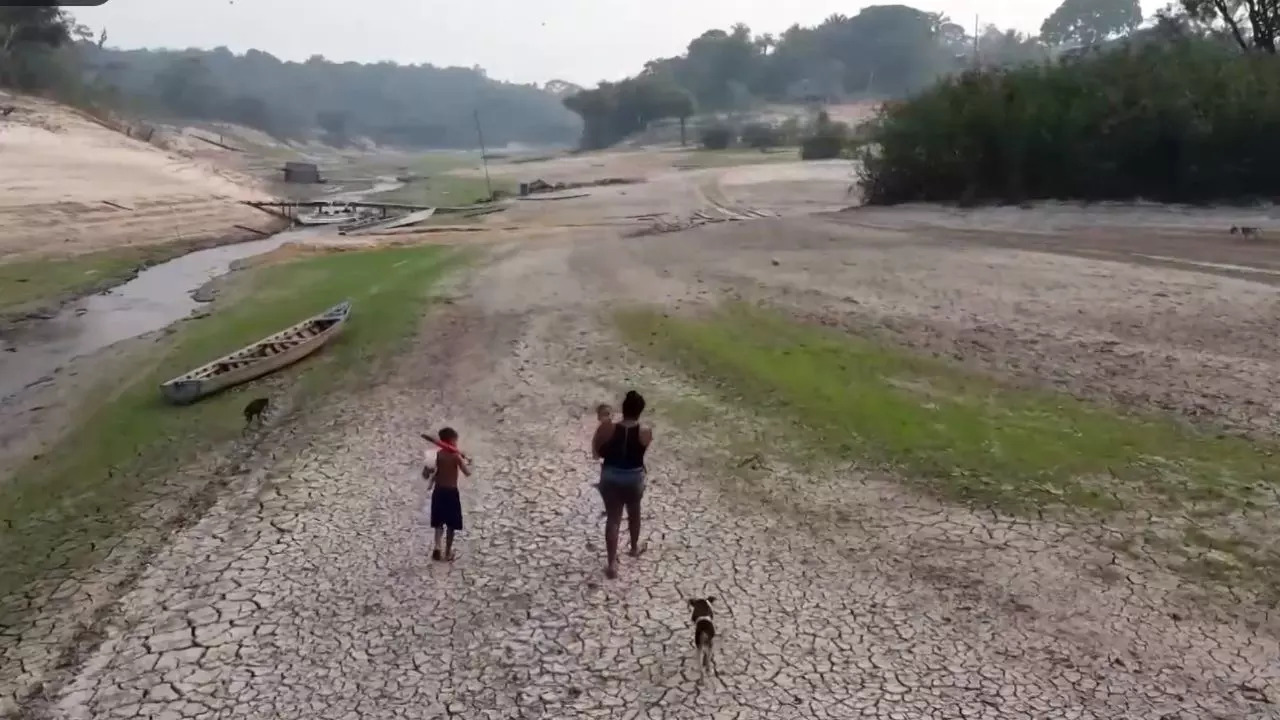 Amazon River's Alarming Drop: Water Level Dips To 100-Year Low Amid ...