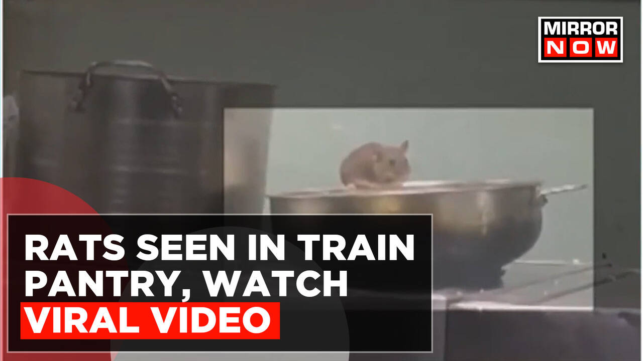 Rats Seen In Pantry Coach Of Mumbai Goa Express, IRCTC Pantry Car ...