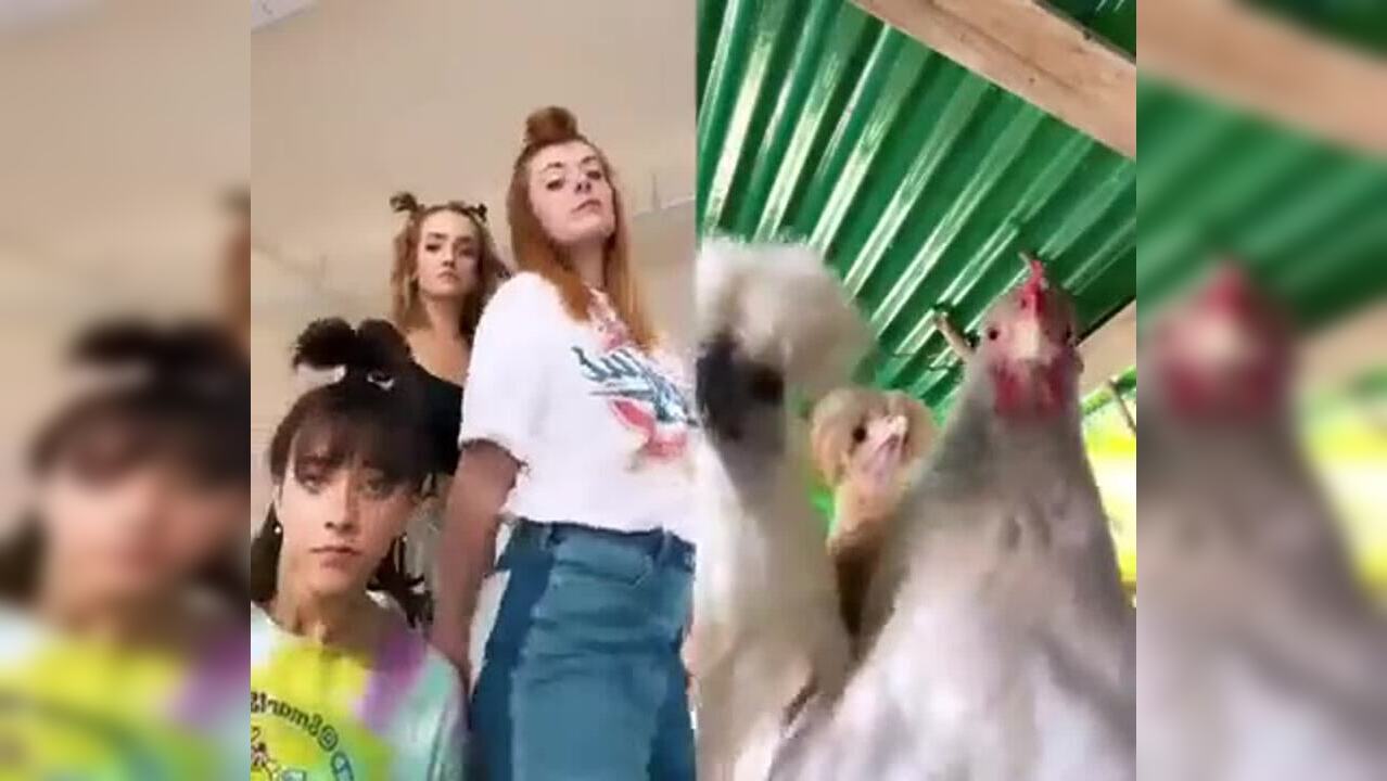 Girls Go Viral Imitating Chicken Dance In Hilarious Video | Times Now