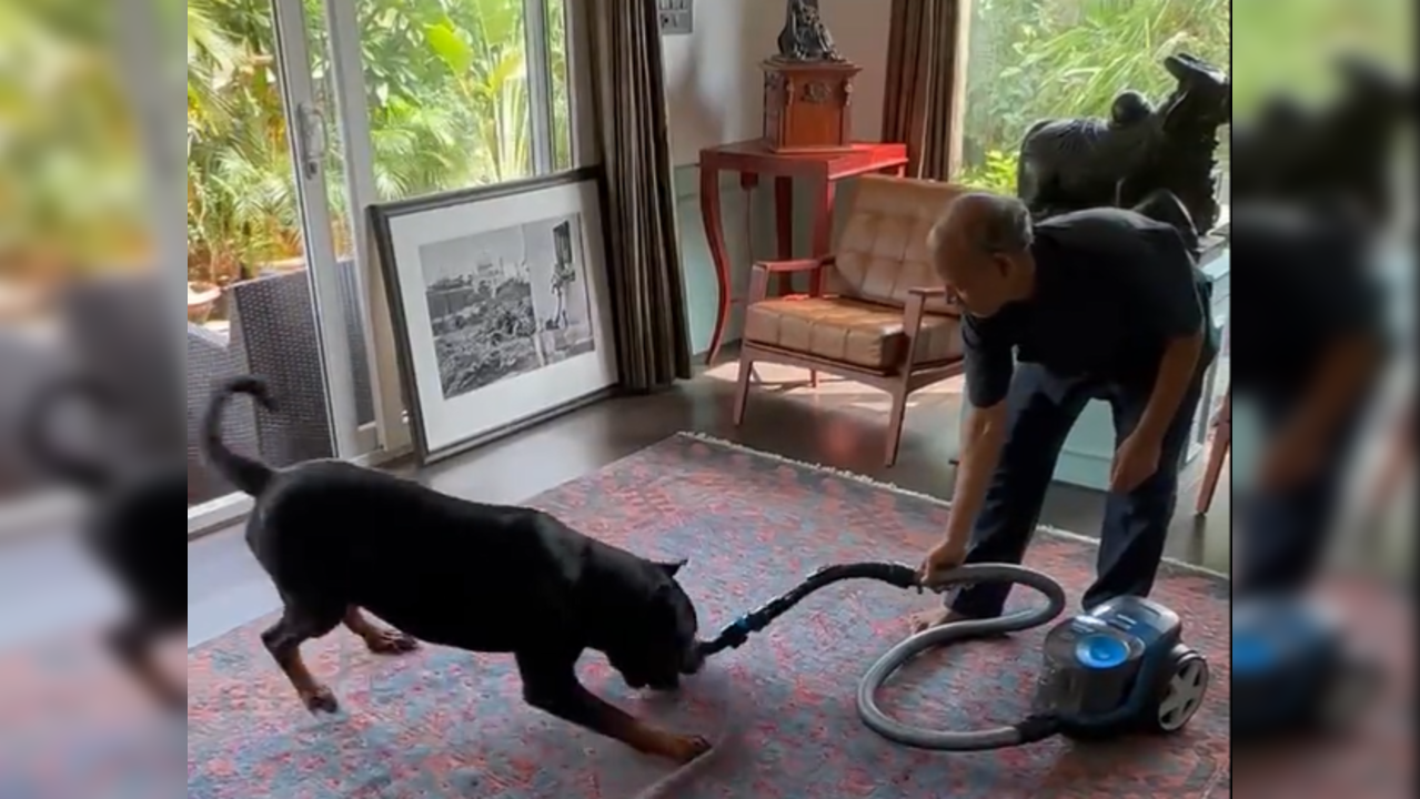 Mahua Moitra's 'Jilted Ex' Misses 'Goof-Ball' Henry Who's With Her On Pujo Vacation | India News ...