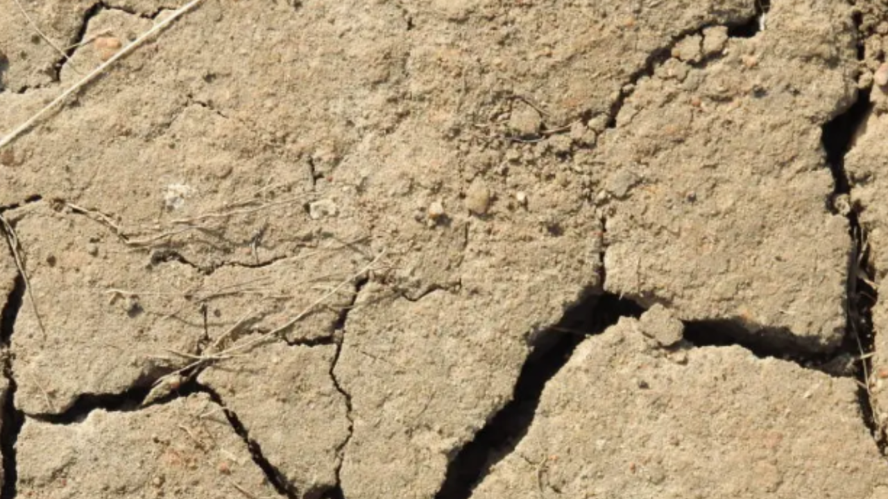 Karnataka Government Seeks Rs 17,901 Crore Drought Relief Funds From ...