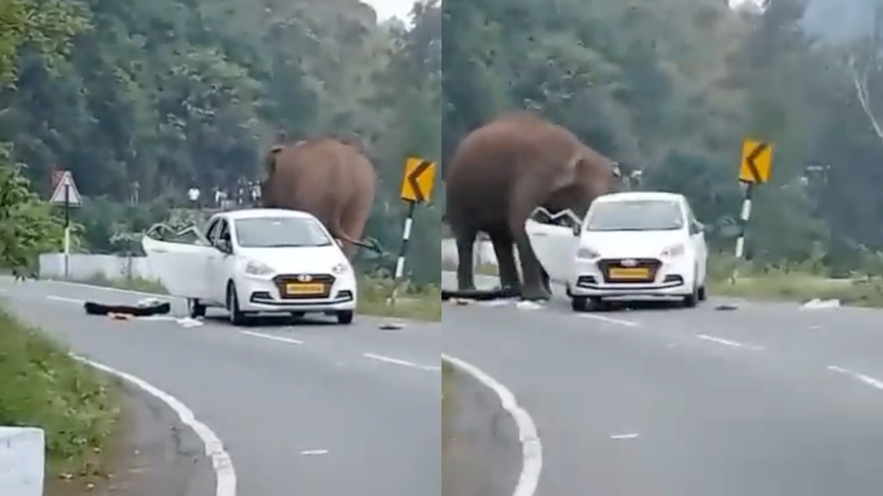 Tamil Nadu: Wild Elephant Goes on Highway Rampage, Damages Car | Watch ...
