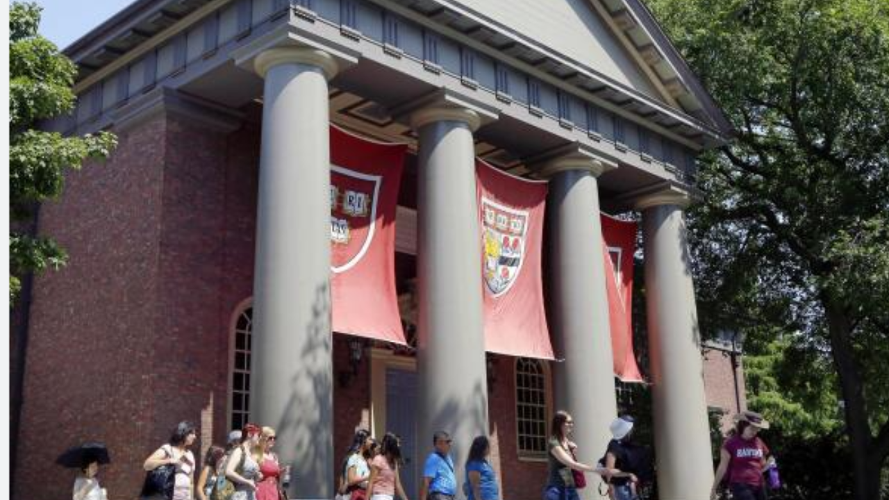 Harvard Video| Pro-Palestine Protesters Mob Jewish Student, Shout ...