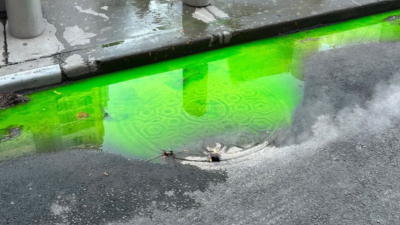 What is the Fluorescent Green Liquid Oozing From Sewers in New York ...