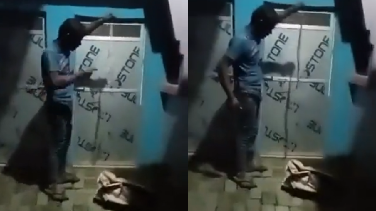 'Father Of Mahakaal': Drunk Man Challenges Snake To Bite Him |VIDEO ...