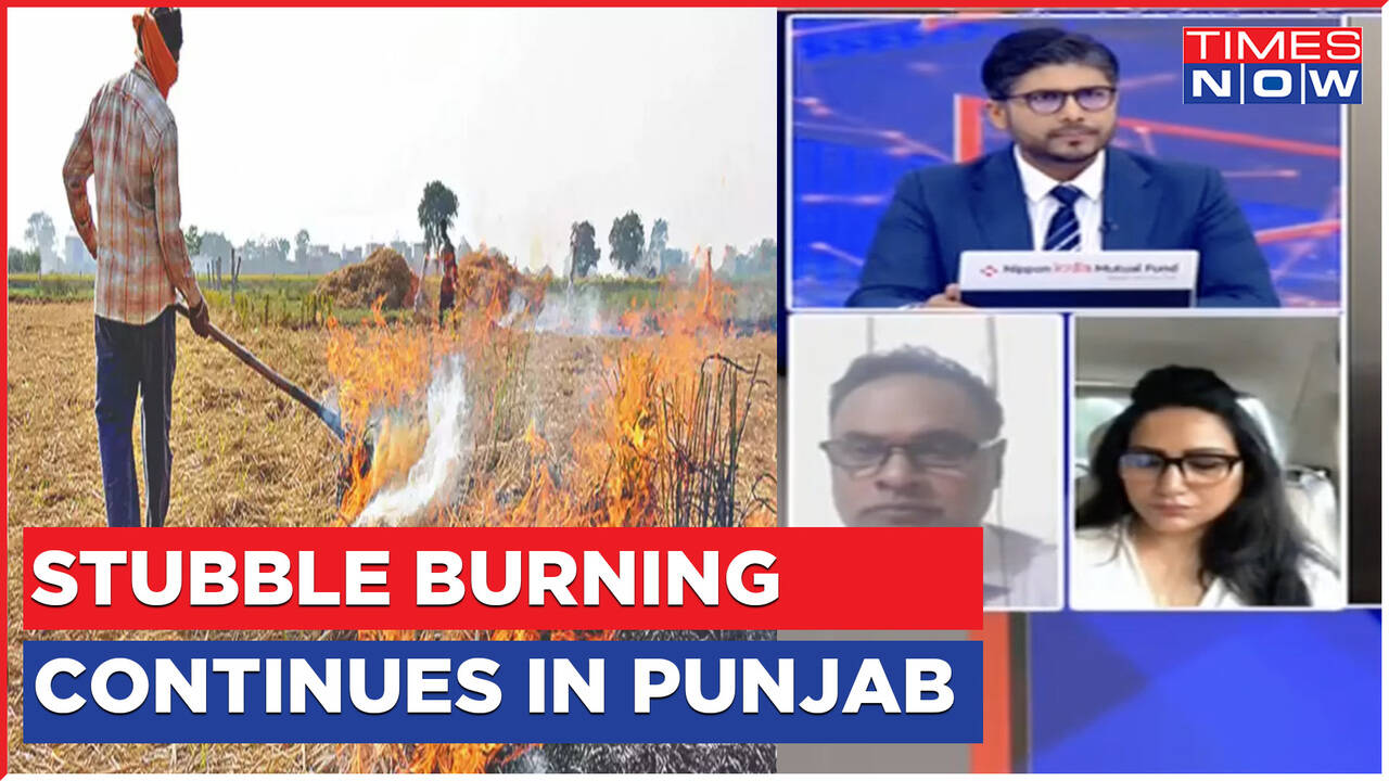 Stubble Burning Still Continues In Punjab, Even After Supreme Court ...