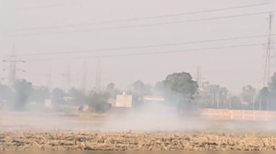 Highlights: Odd-Even Scheme to Be Implemented in Delhi After Supreme ...