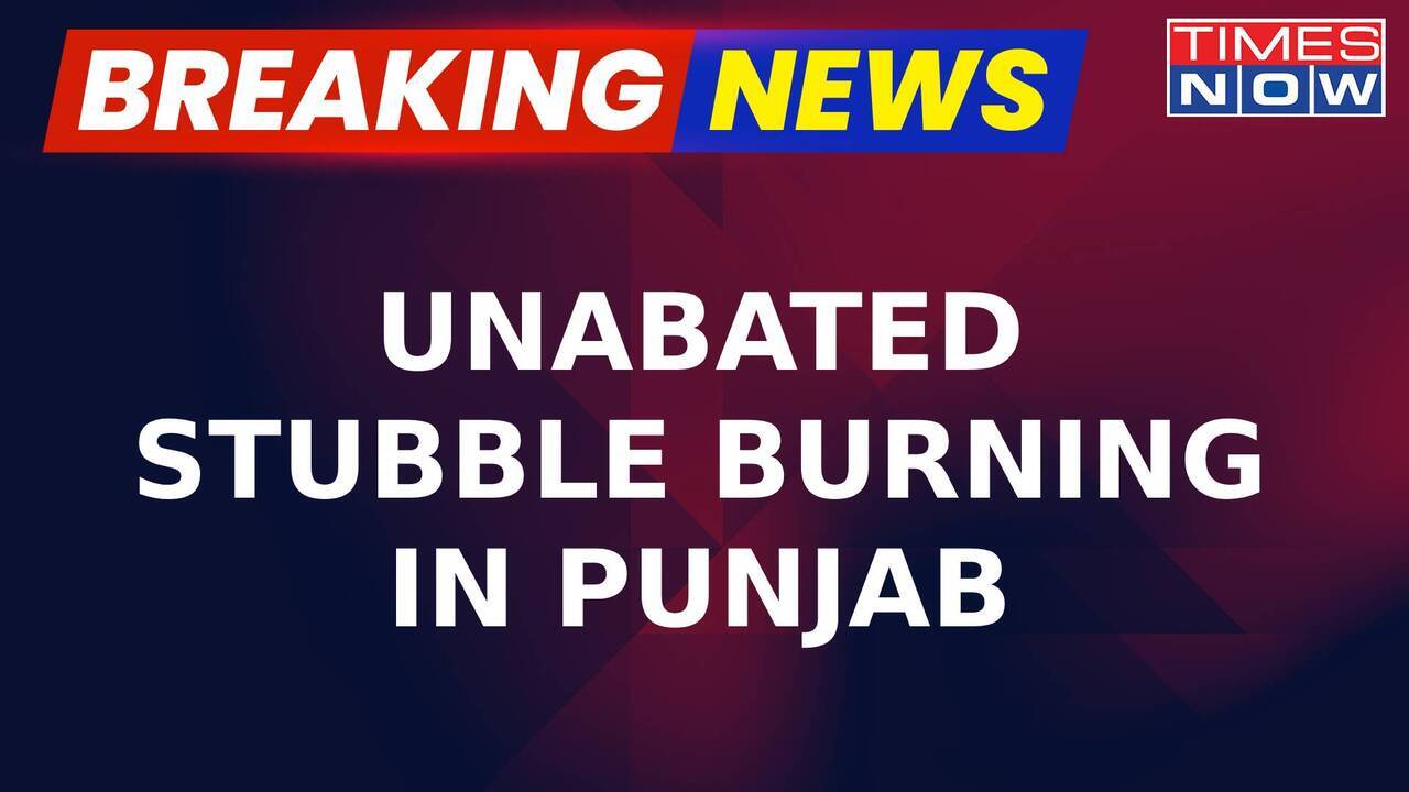 Breaking News | Unabated Stubble Burning In Punjab | Fresh Visuals Of ...
