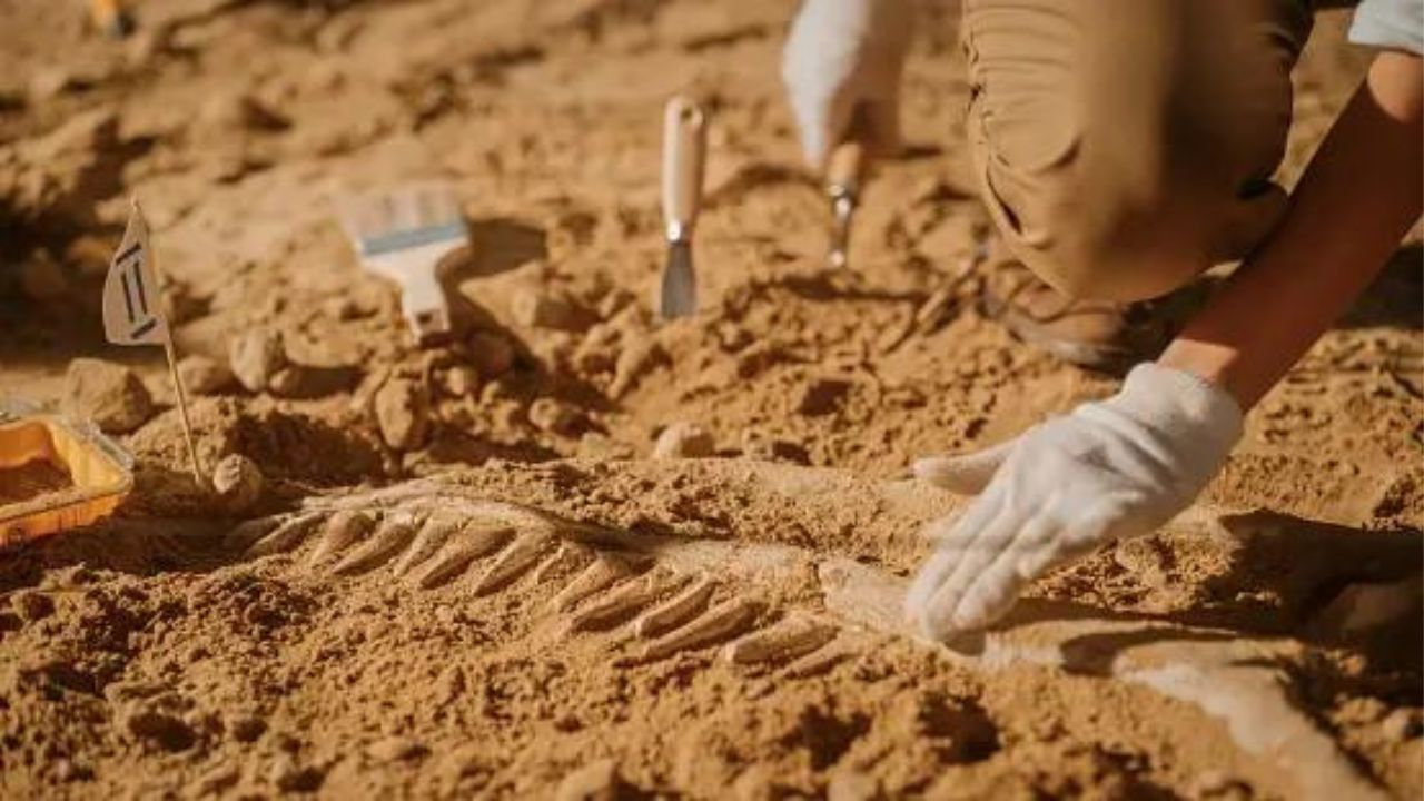 Chinese Researchers Unearth New Dinosaur Species and Unhatched Eggs ...