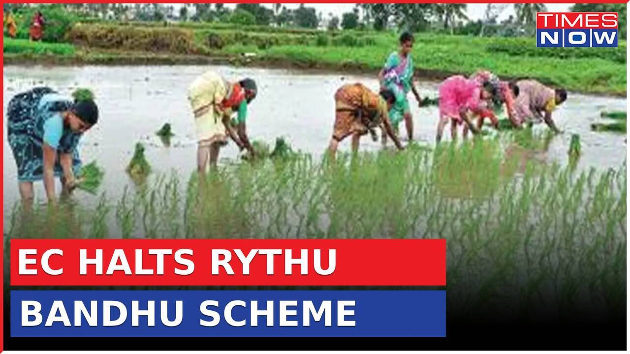 Telangana EC Halts KCR Government's Rythu Bandhu Scheme | Latest ...