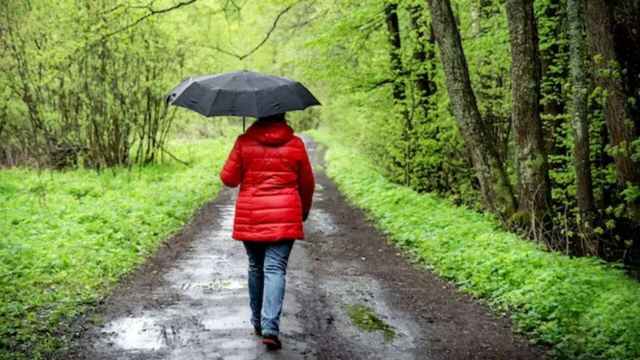Things to keep in mind while traveling in rainy season | மழை நேரத்தில் பயணிக்கும்போது ...
