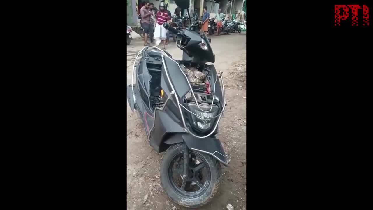 Viral Video: Chennai Firefighters Rescue 7-Foot Snake From Scooter ...