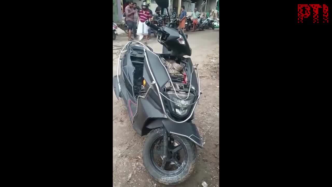 Viral Video: Chennai Firefighters Rescue 7-Foot Snake From Scooter ...