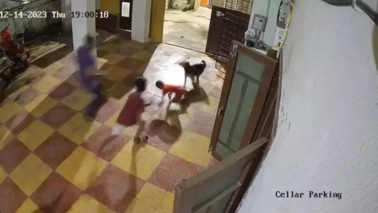Caught on CCTV: Yet Another Stray Dog Attack in Hyderabad | Times Now