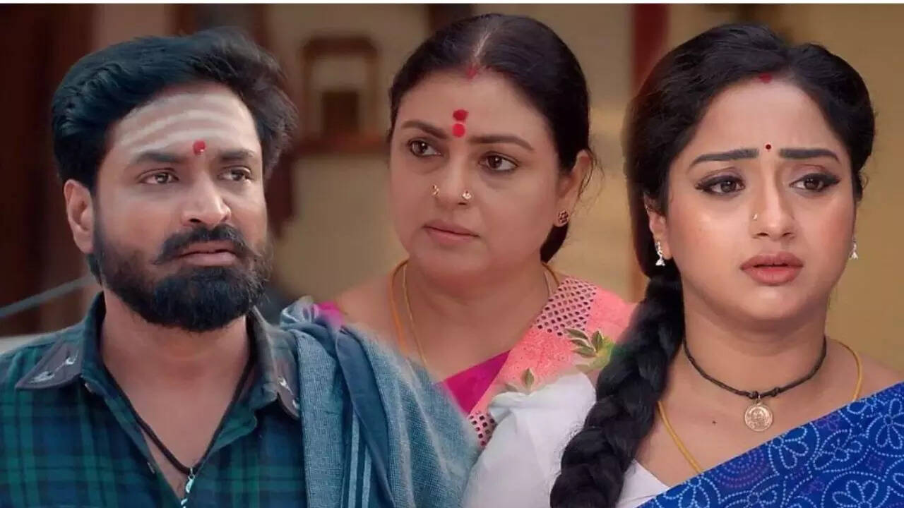 zee tamil serials today - ஜீ தமிழ் சீரியல்களின் இன்றைய அப்டேட் ...