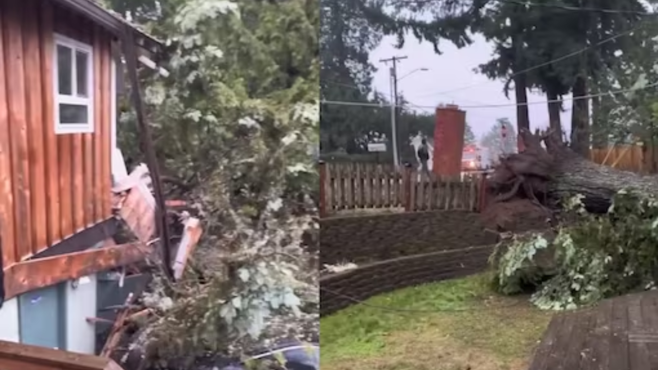 Viral Video: House Falls Apart in Seconds, Unbelievable Collapse Caught ...